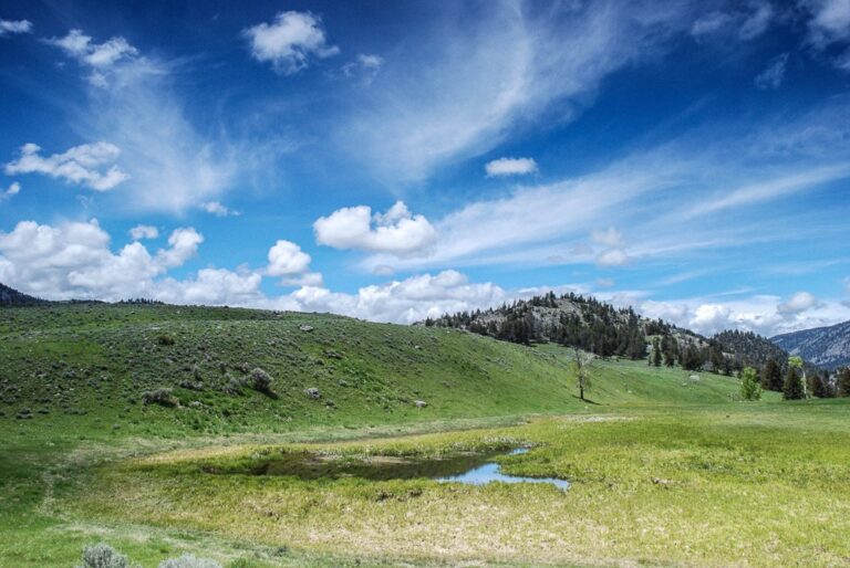 How To Get Backcountry Backpacking Permits Yellowstone: Updated ...