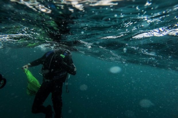 Kaikoura-Lobster-Crayfish-Diving-Season-Must-Do-New-Zealand-5 | Where ...