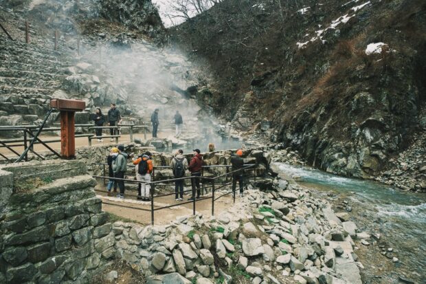 Japanese Snow Monkeys: A Complete Guide To Jigokudani Monkey Park ...