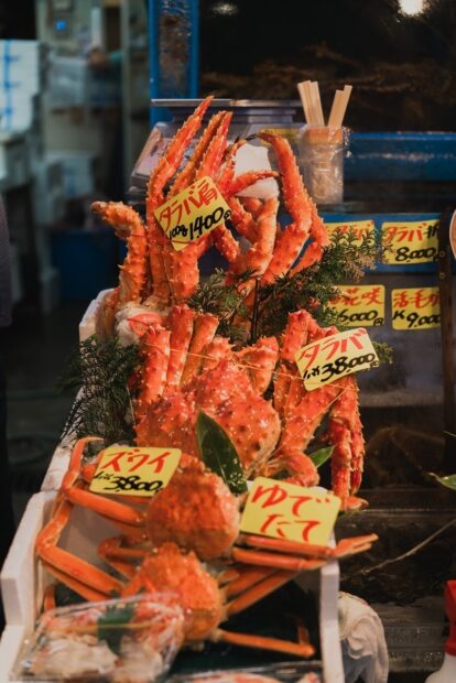 Toyosu Fish Market: The 2025 Traveler's Guide To The Tuna Auction ...