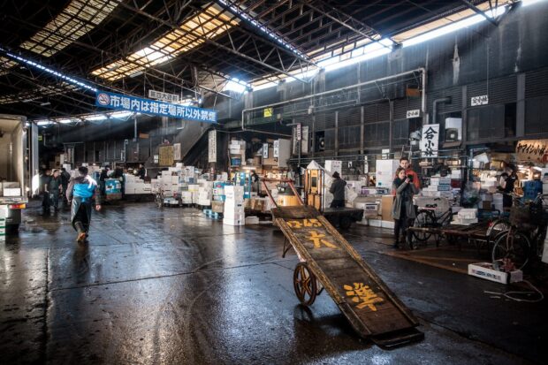 Toyosu Fish Market: The 2025 Traveler's Guide To The Tuna Auction ...
